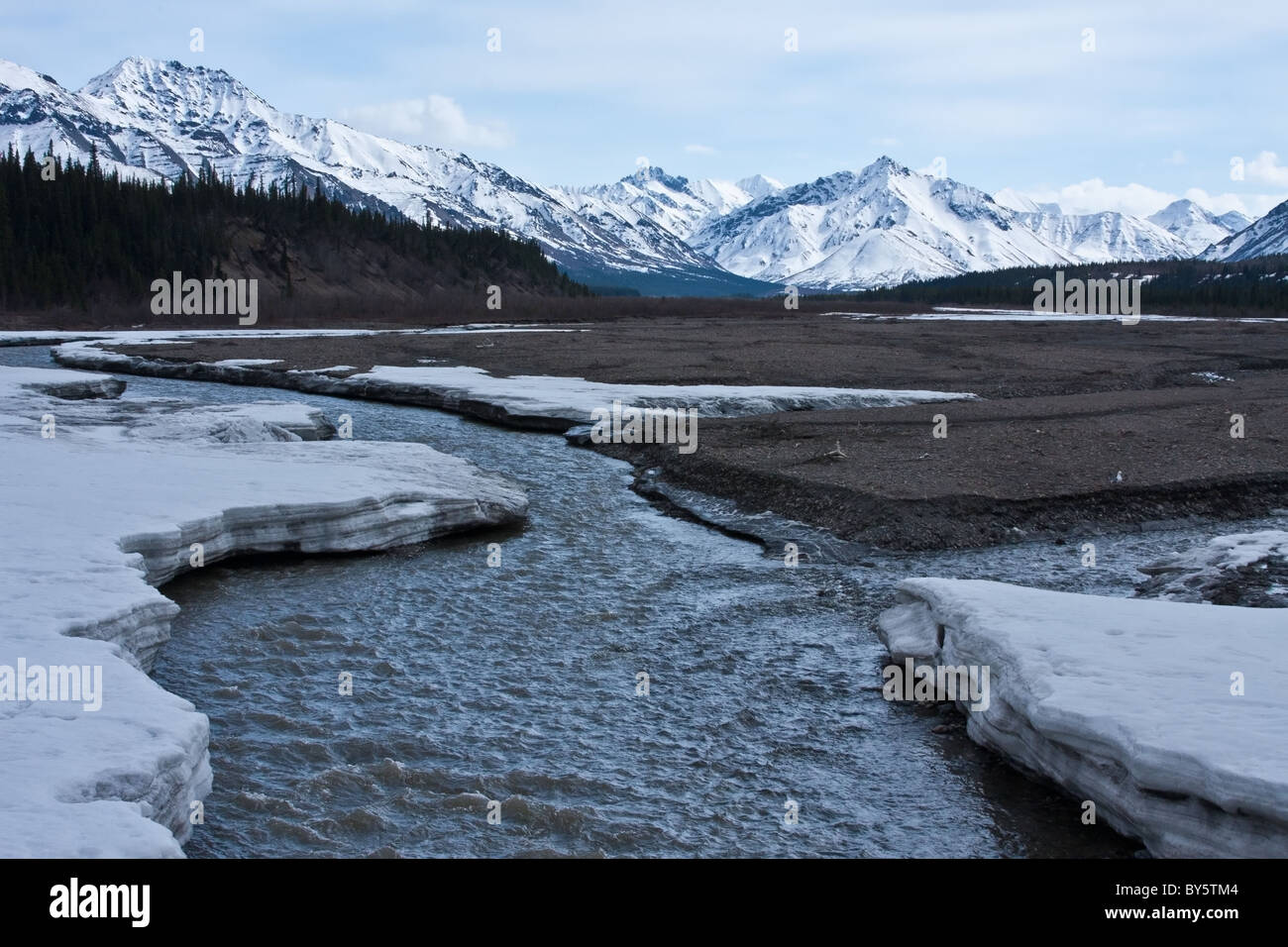 Teklanika River, Denali National Park Stock Photo - Alamy