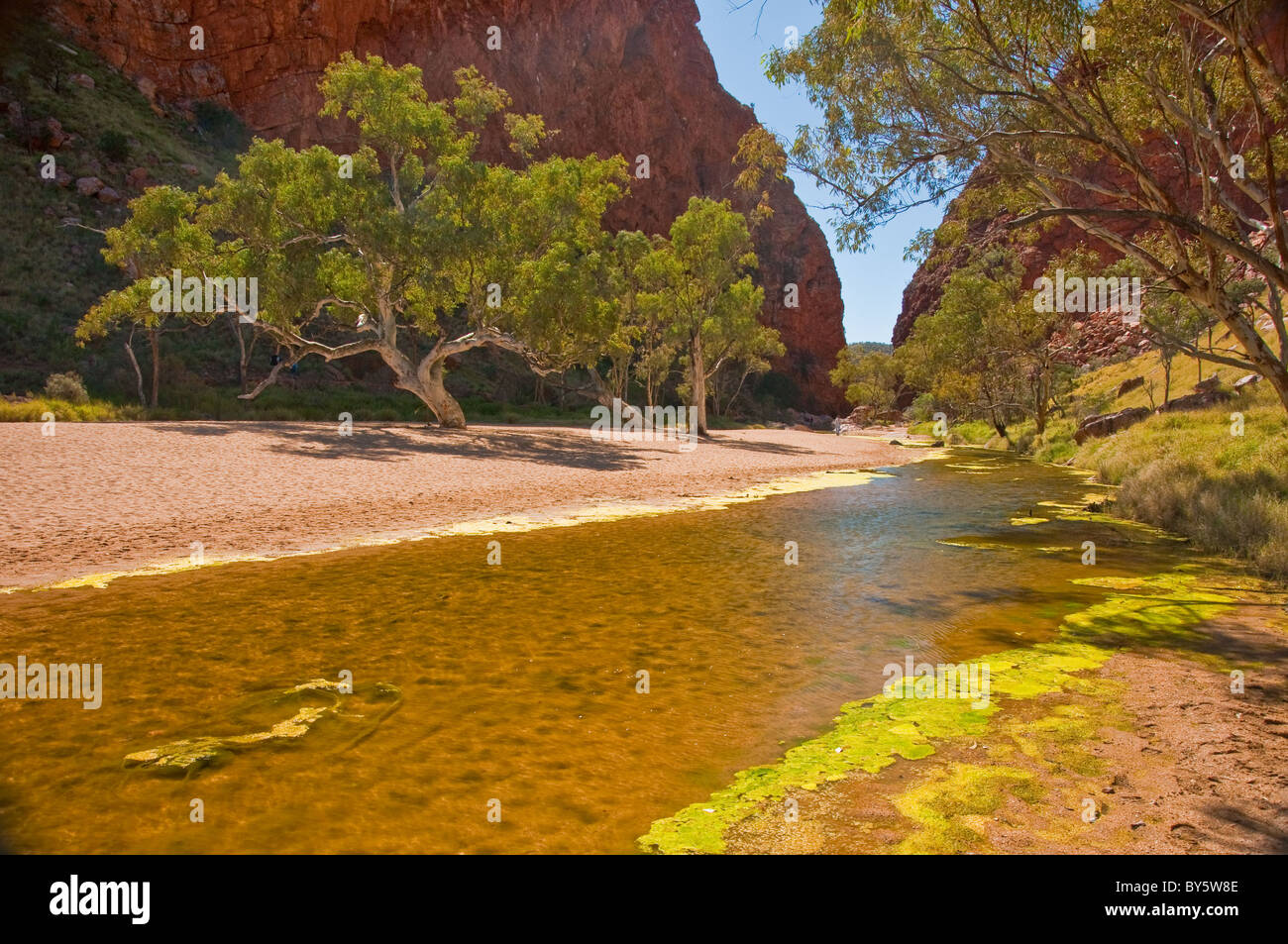 desert pond in the red center desert, northern territory australia ...