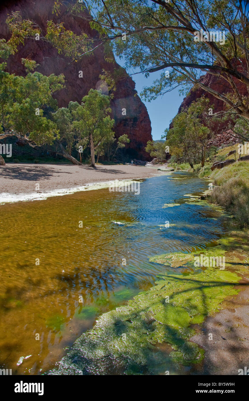 desert pond in the red center desert, northern territory australia ...