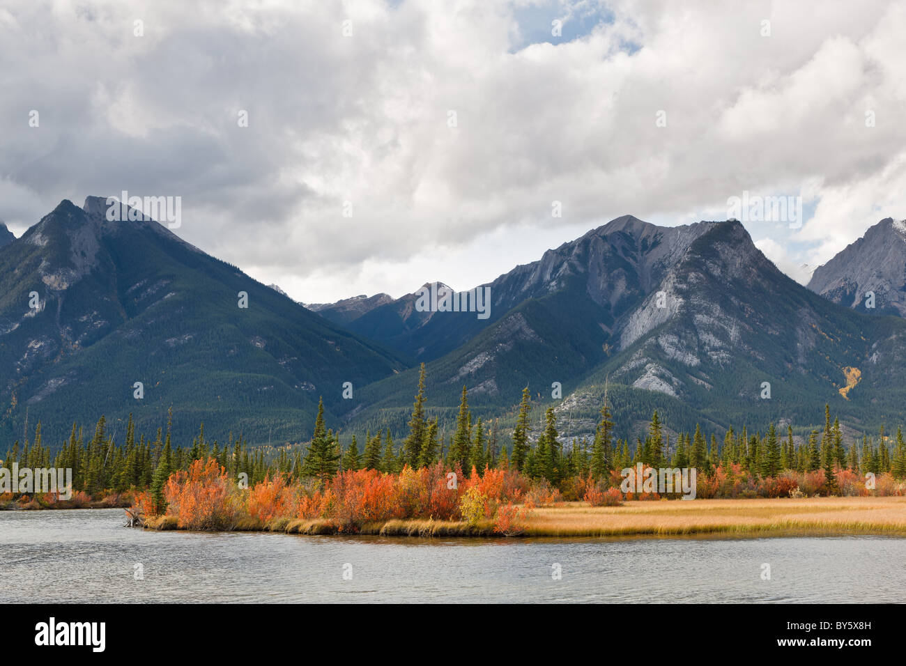 Ponds near Moberly Flats, Jasper National Park, Alberta, Canada Stock ...