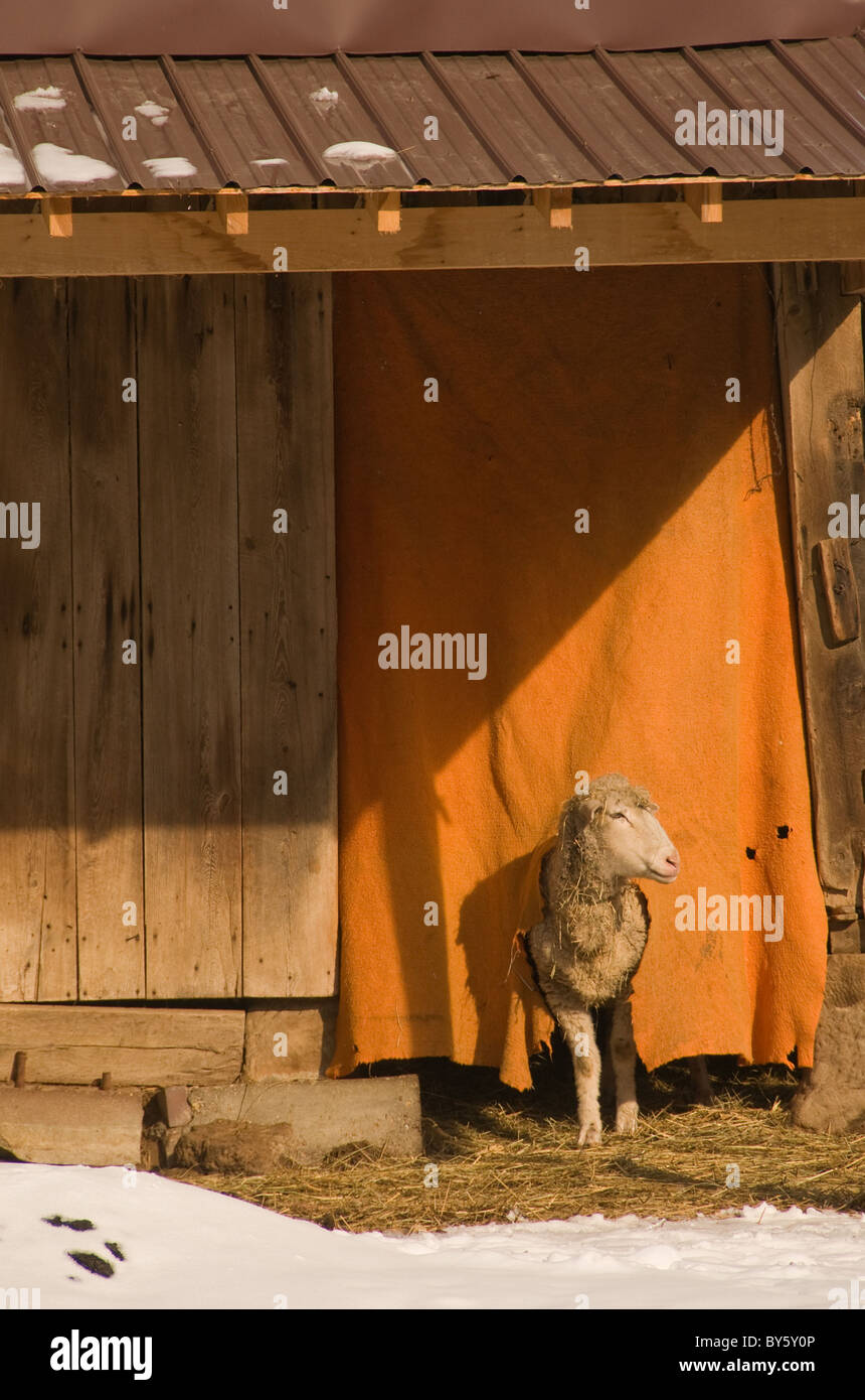 Barn opening hi-res stock photography and images - Alamy