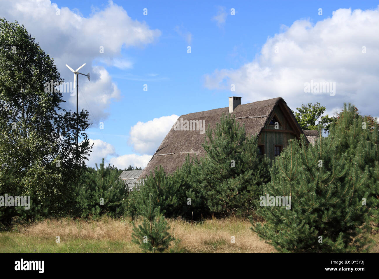 Thatched roof of a house in Tuchola Forest (Bory Tucholskie), Poland ...