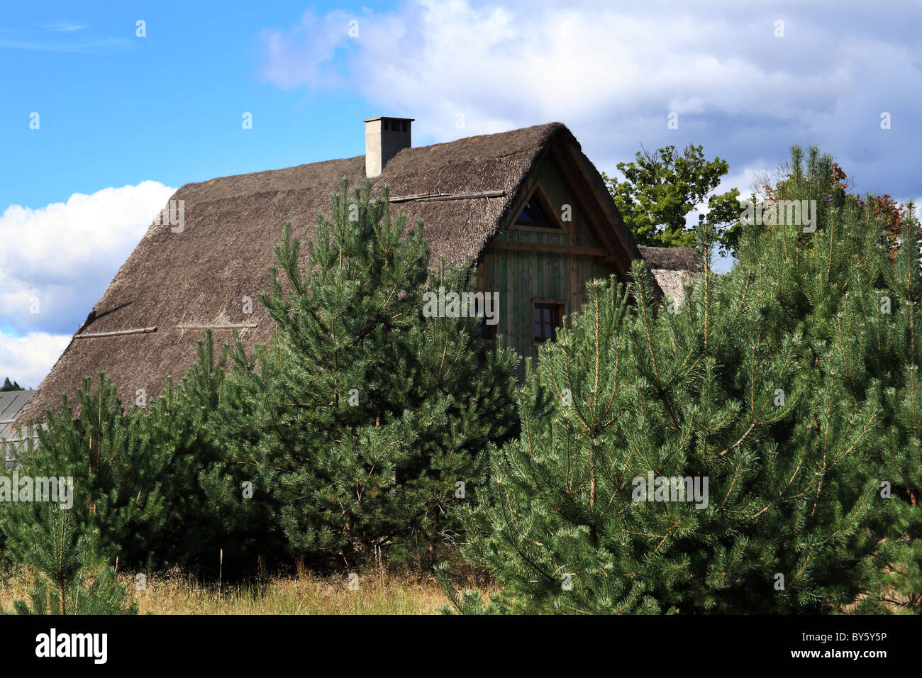 Thatched roof of a house in Tuchola Forest (Bory Tucholskie), Poland ...