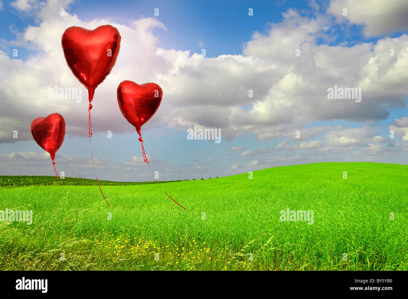 Red balloons in a grass field with blue cloudy sky Stock Photo - Alamy