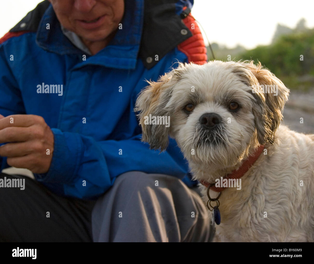 Ownerdog hi-res stock photography and images - Alamy