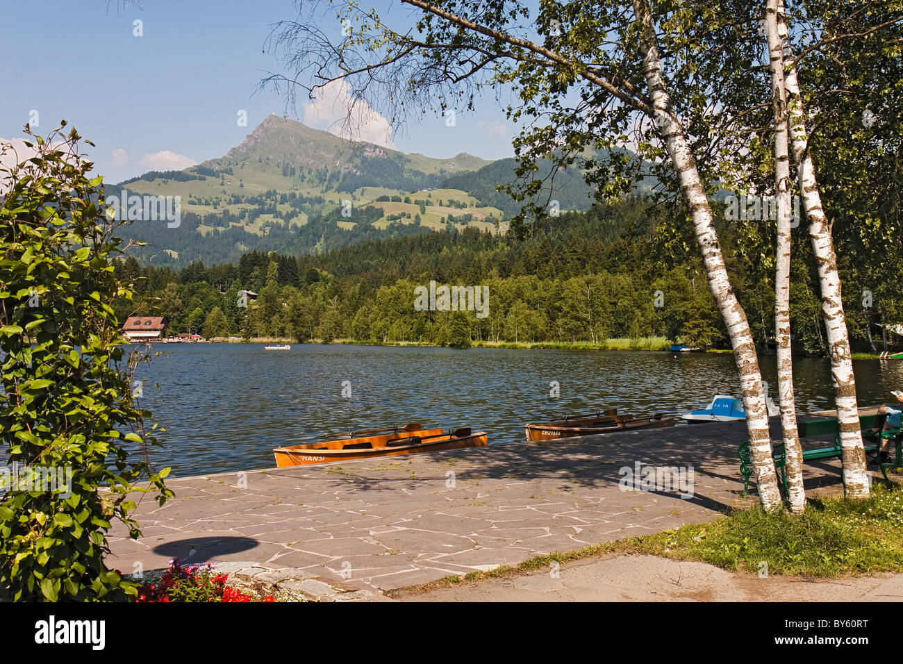 Austria hillside hi-res stock photography and images - Alamy