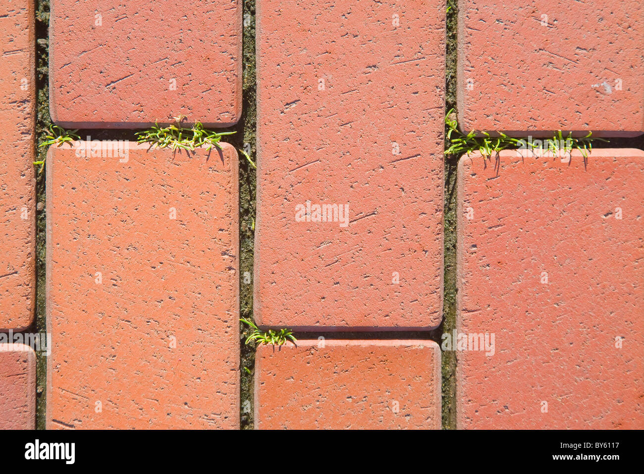 Faint green hi-res stock photography and images - Alamy