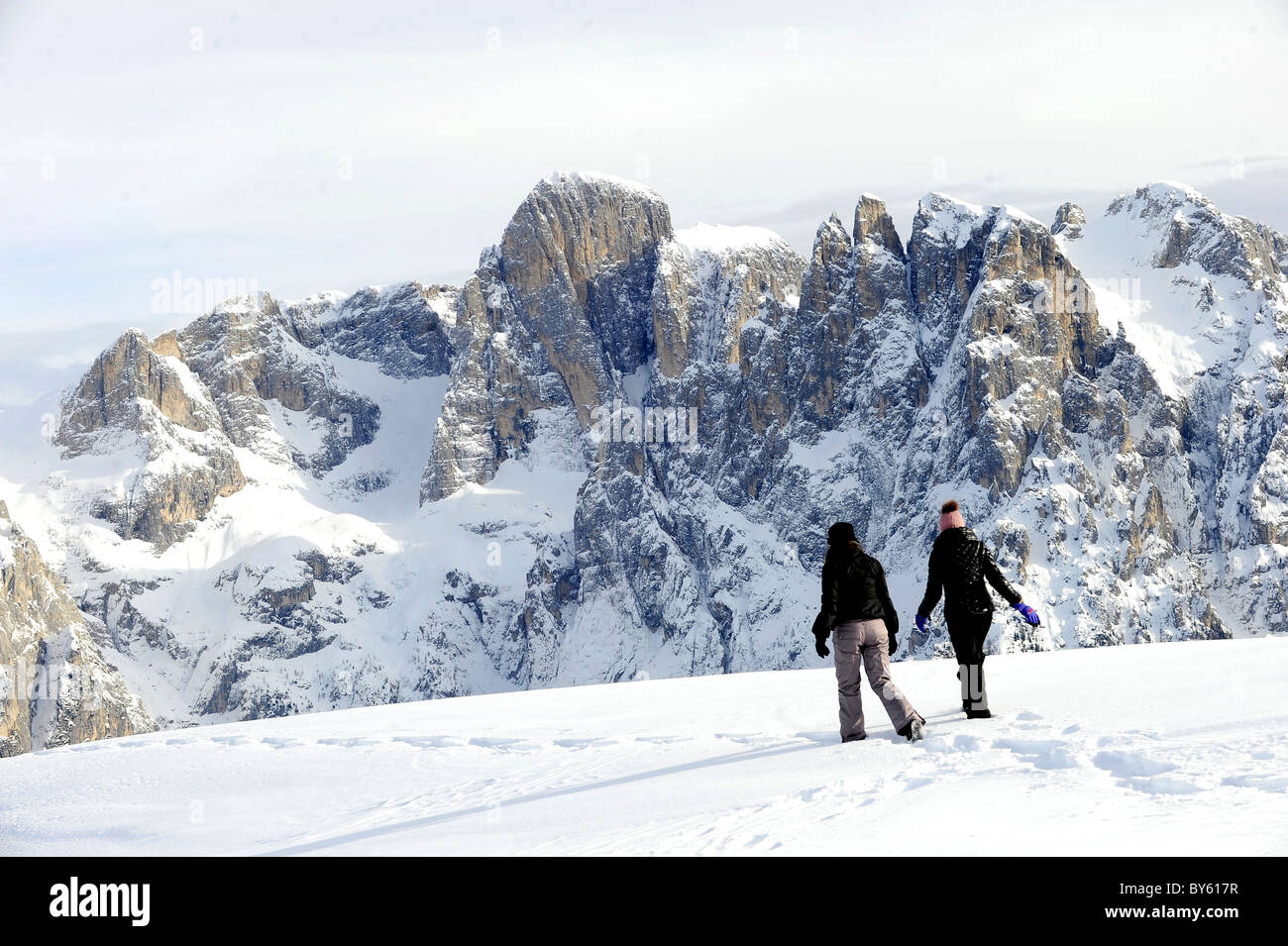 Alps in winter landscape with snow in the Dolomites Stock Photo - Alamy