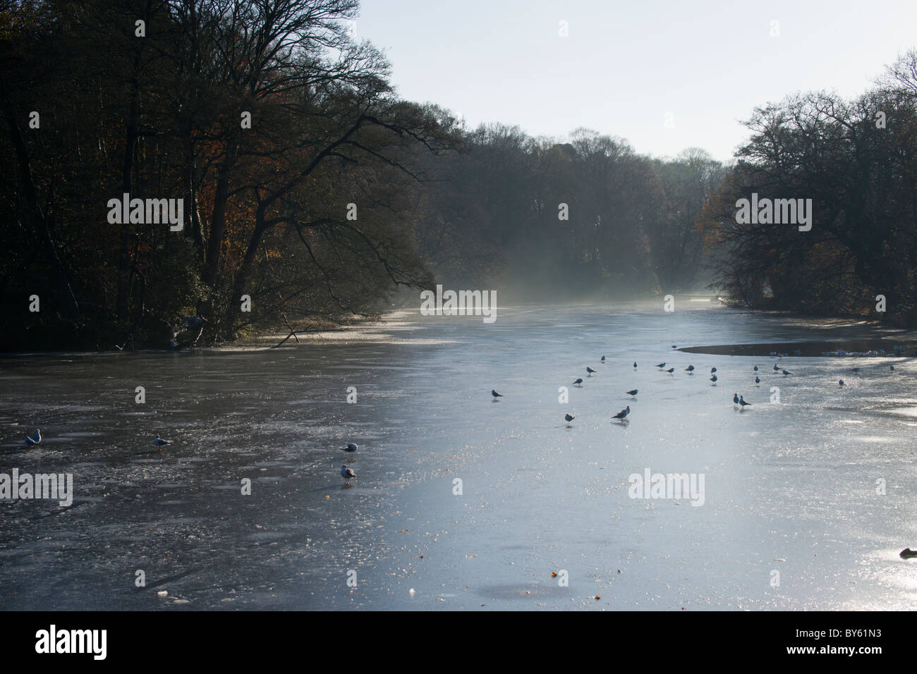 Raby mere hi-res stock photography and images - Alamy