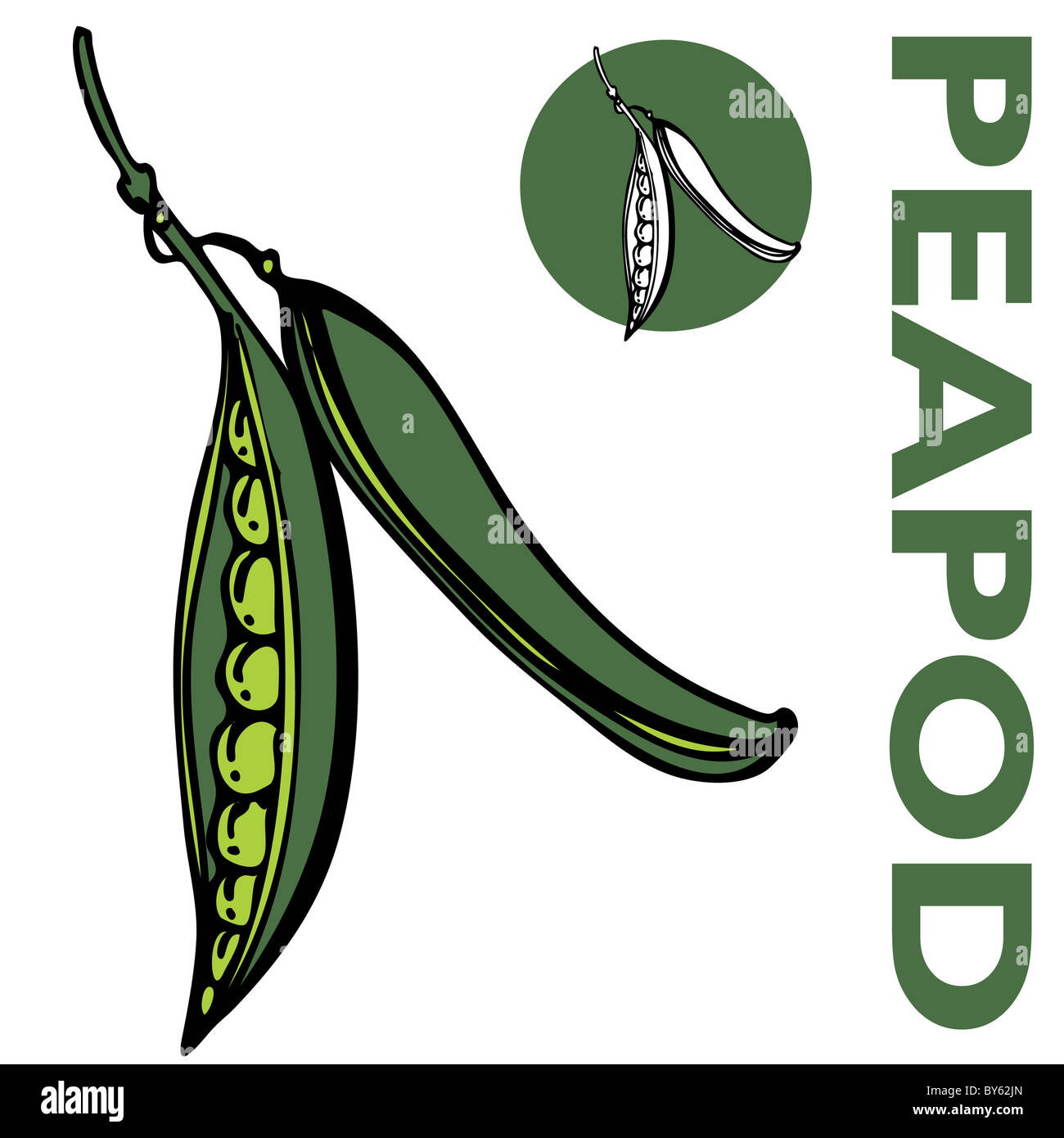 Pea pod clipart hi-res stock photography and images - Alamy