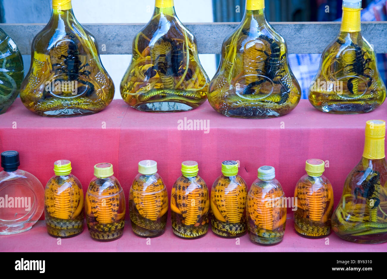 drink bottles ( scorpion and cobra liquor) in a gift shop. Sapa, Lao ...