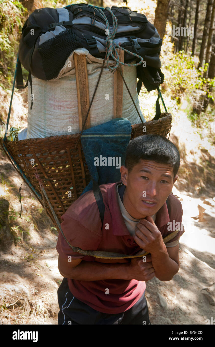 porter on the trail in the Everest Region of Nepal Stock Photo - Alamy