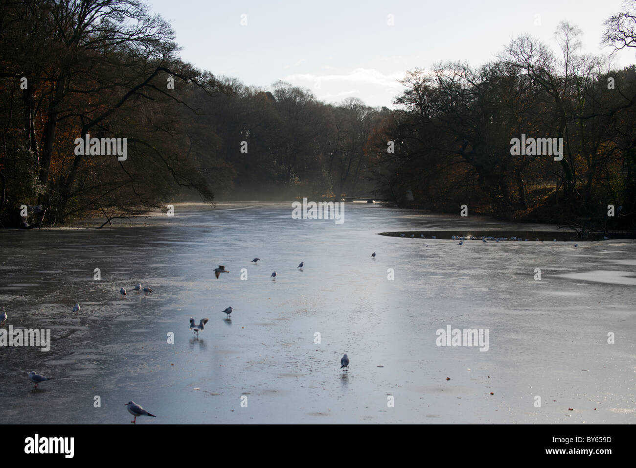 Raby mere hi-res stock photography and images - Alamy