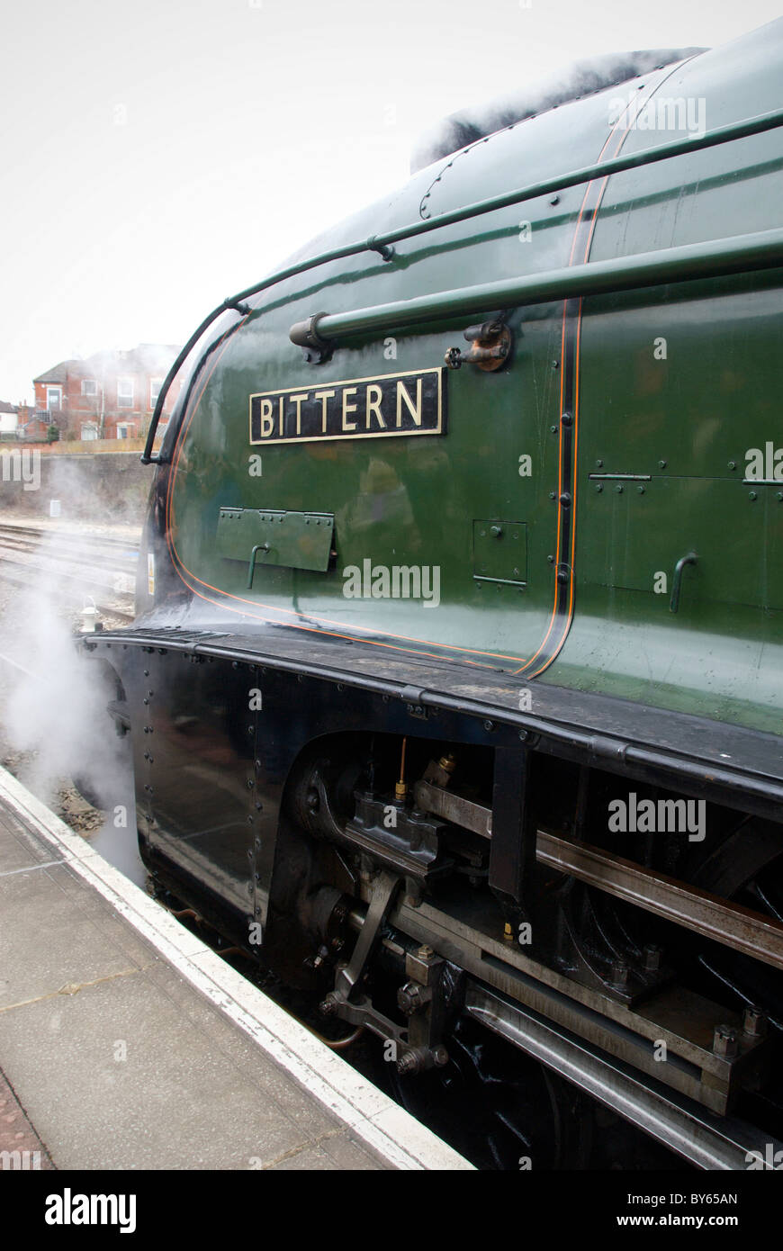 Bittern 60019 Seam Locomotive Newbury Station Berkshire UK Platform ...