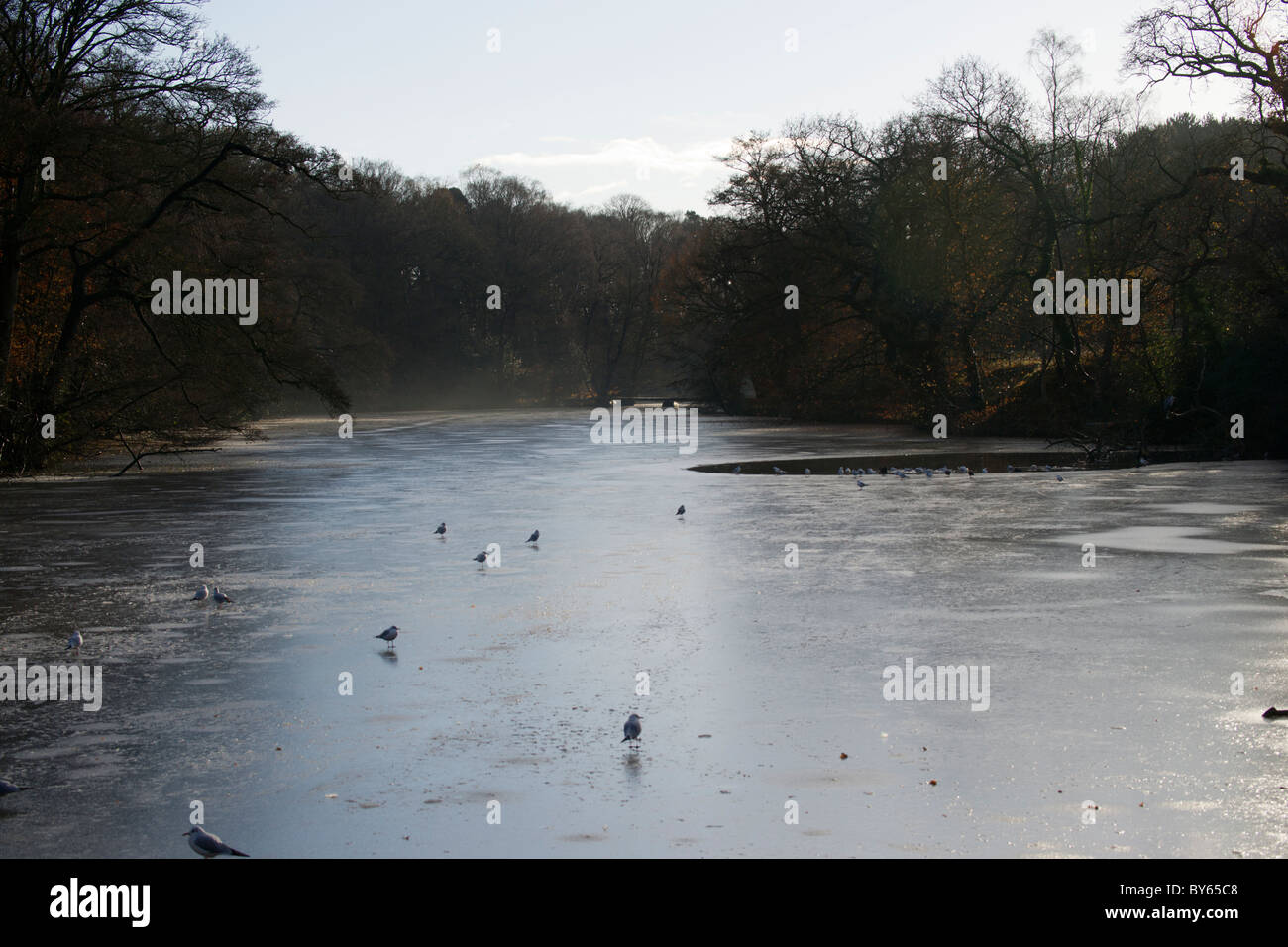 Raby mere hi-res stock photography and images - Alamy