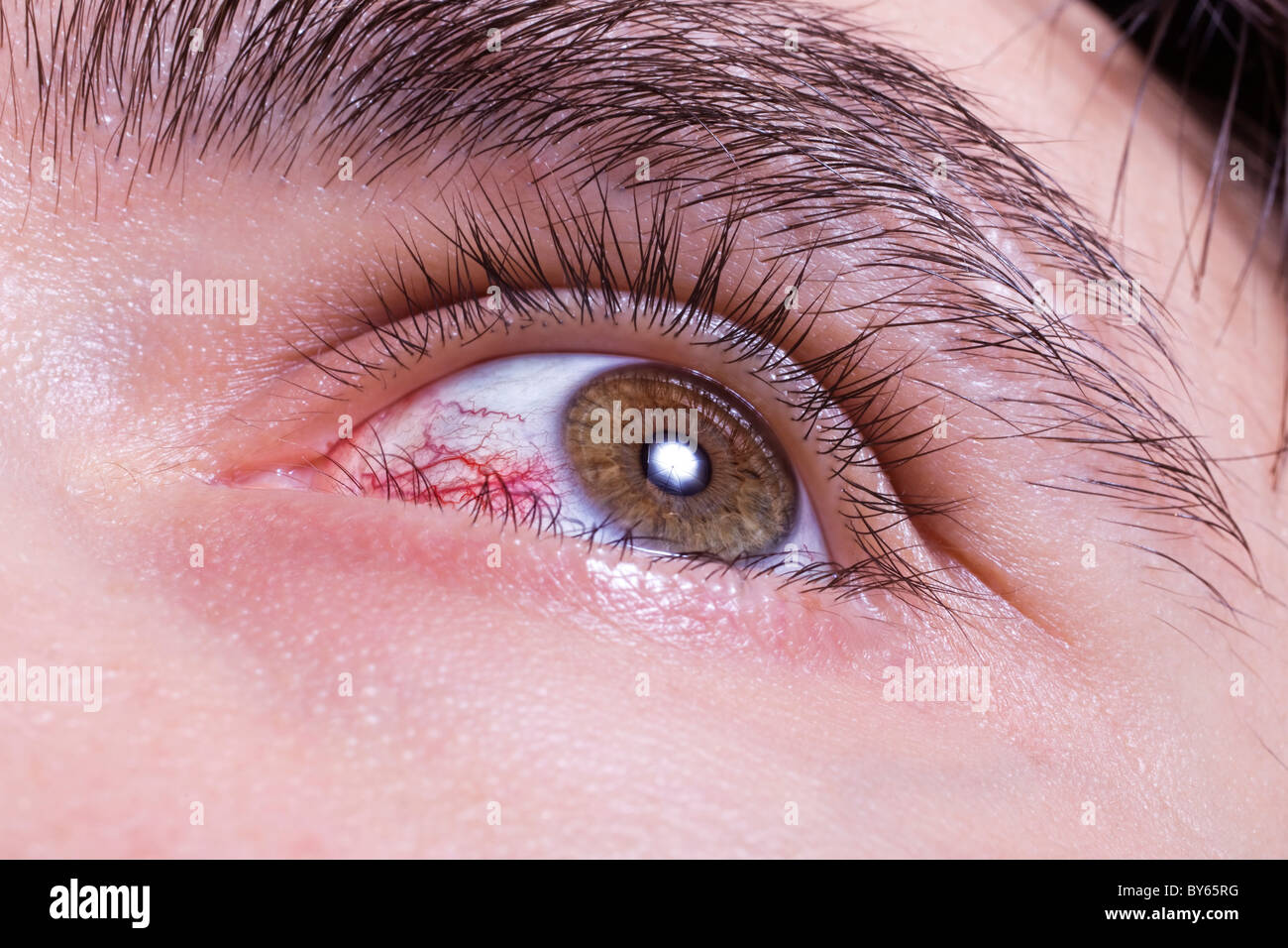 Blood vessels eye hi-res stock photography and images - Alamy