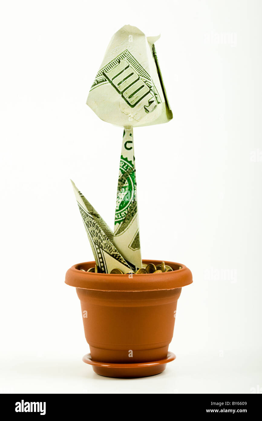 Image of flower made of dollars on a white background Stock Photo - Alamy