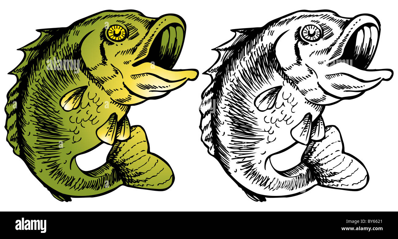 A cartoon image of a big mouth bass - both color and black / white ...