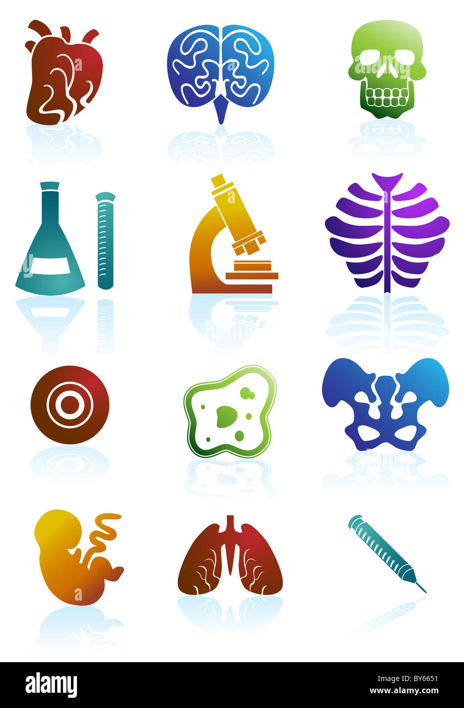 Set of 12 Biology Icons Stock Photo - Alamy