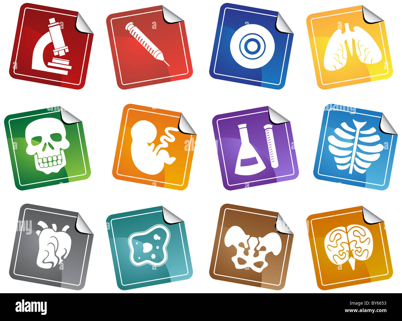 Set of biology themed button stickers Stock Photo - Alamy