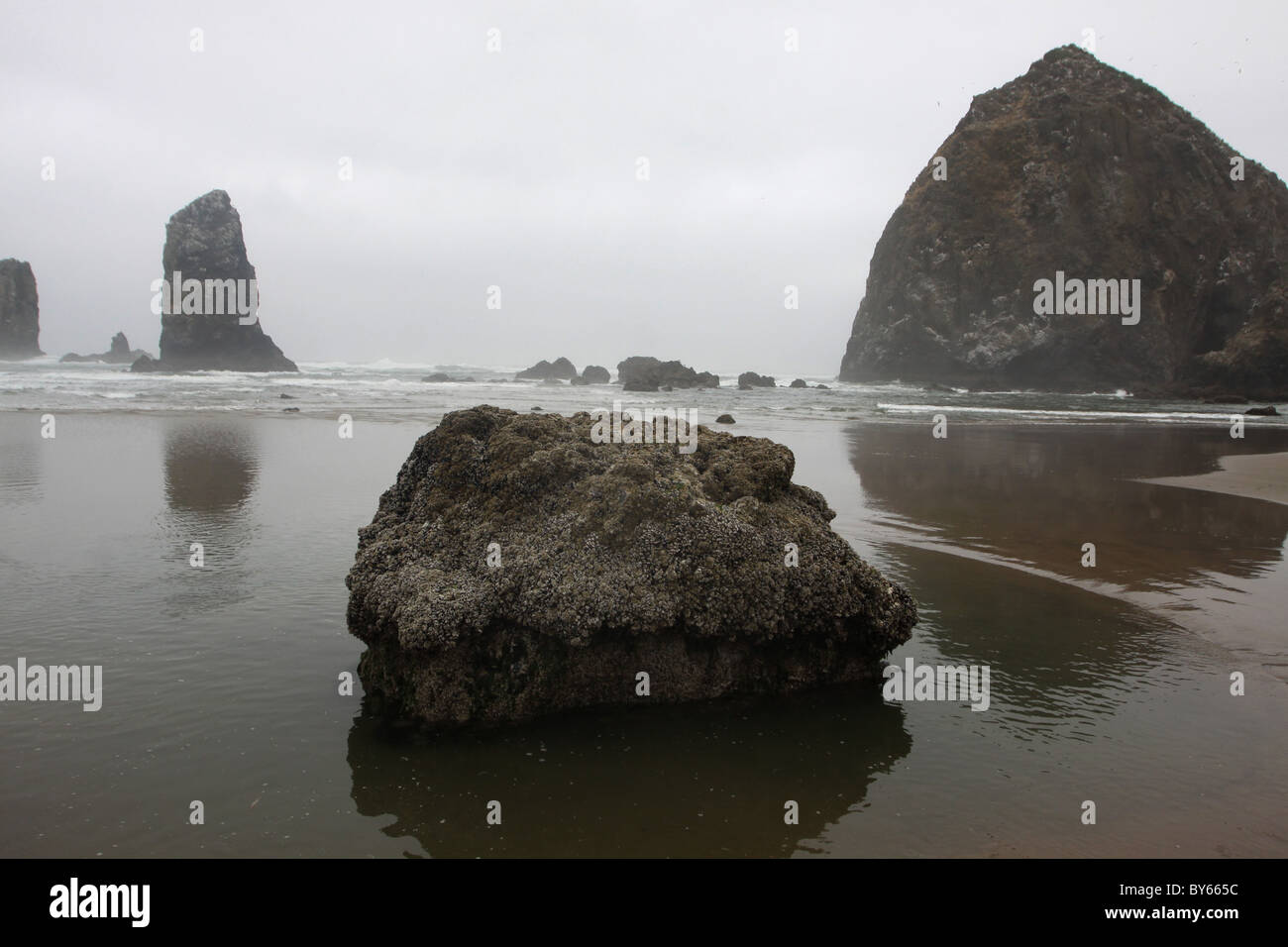low tide pool Haystack Rock Cannon Beach Oregon Coast fog Stock Photo ...
