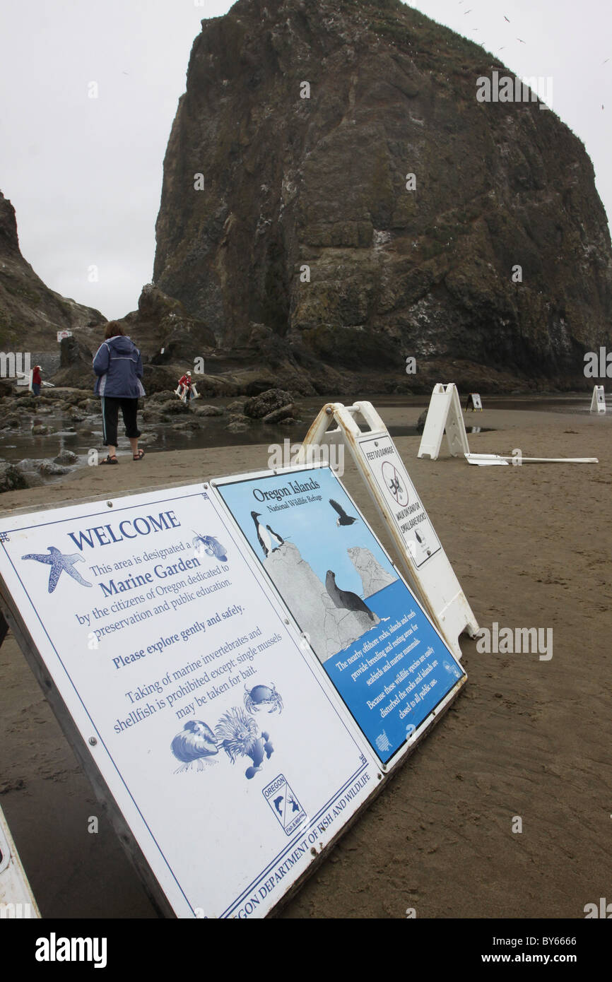 Haystack rock tide pool hi-res stock photography and images - Alamy