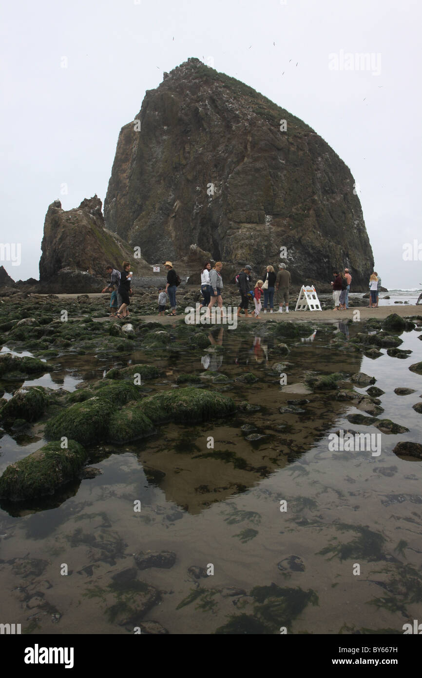 tide pool hikers Haystack Rock Cannon Beach Oregon Coast National ...