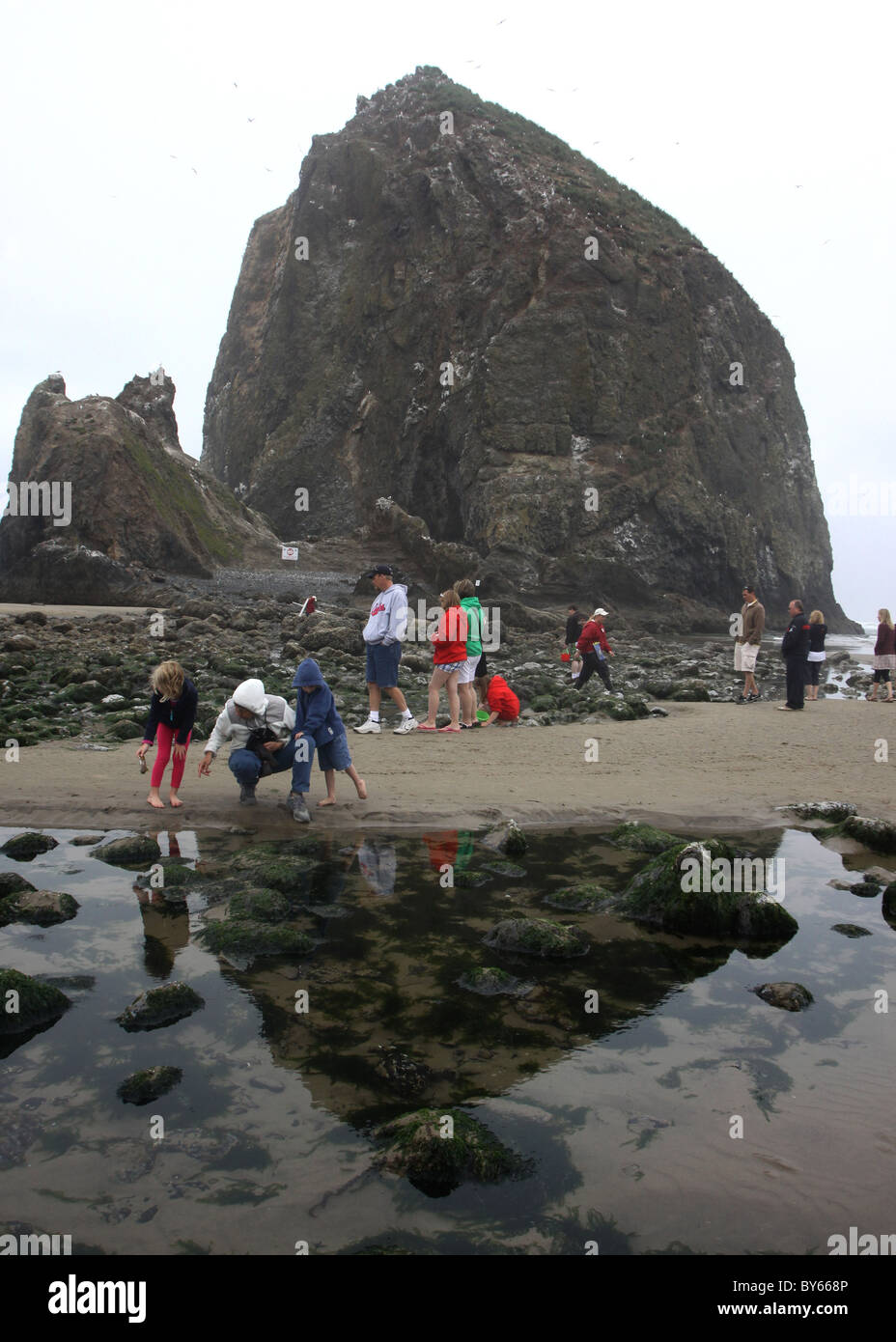 tide pool hikers Haystack Rock Cannon Beach Oregon Coast National ...