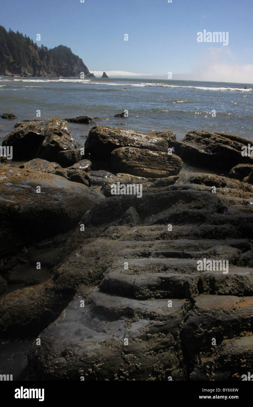 tide pool rocks Oswald West State Park Oregon Coast Stock Photo - Alamy