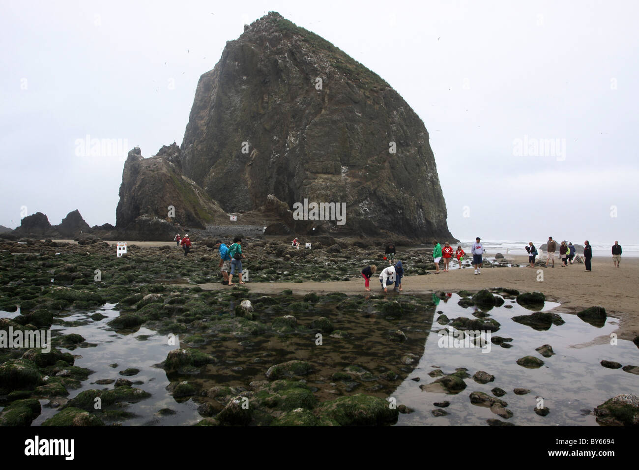 tide pool hikers Haystack Rock Cannon Beach Oregon Coast National ...