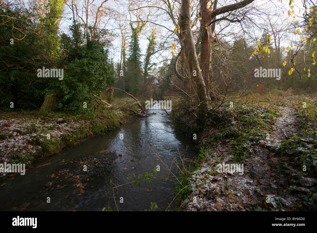 Raby mere hi-res stock photography and images - Alamy