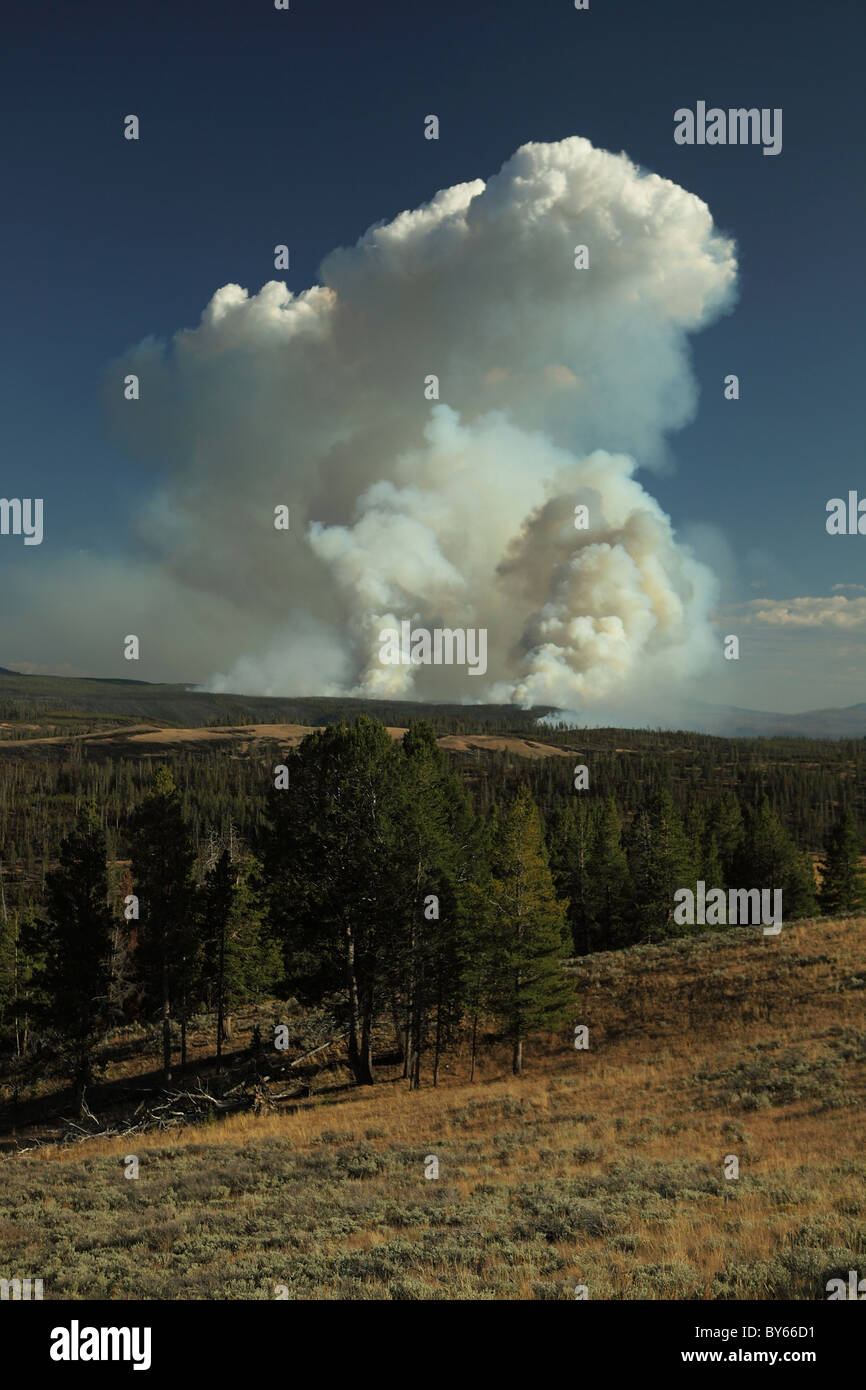 Prescribed fire hi-res stock photography and images - Alamy