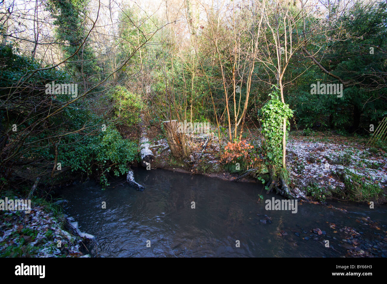 Raby Mere in Winter 2010 the mere is frozen Stock Photo - Alamy