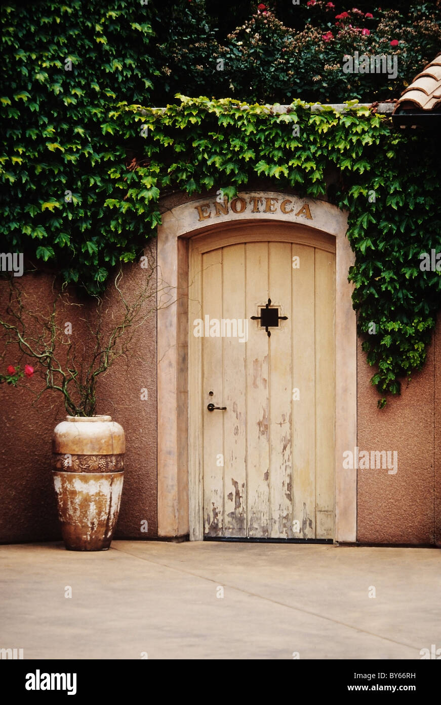 Wine tasting room hi-res stock photography and images - Alamy
