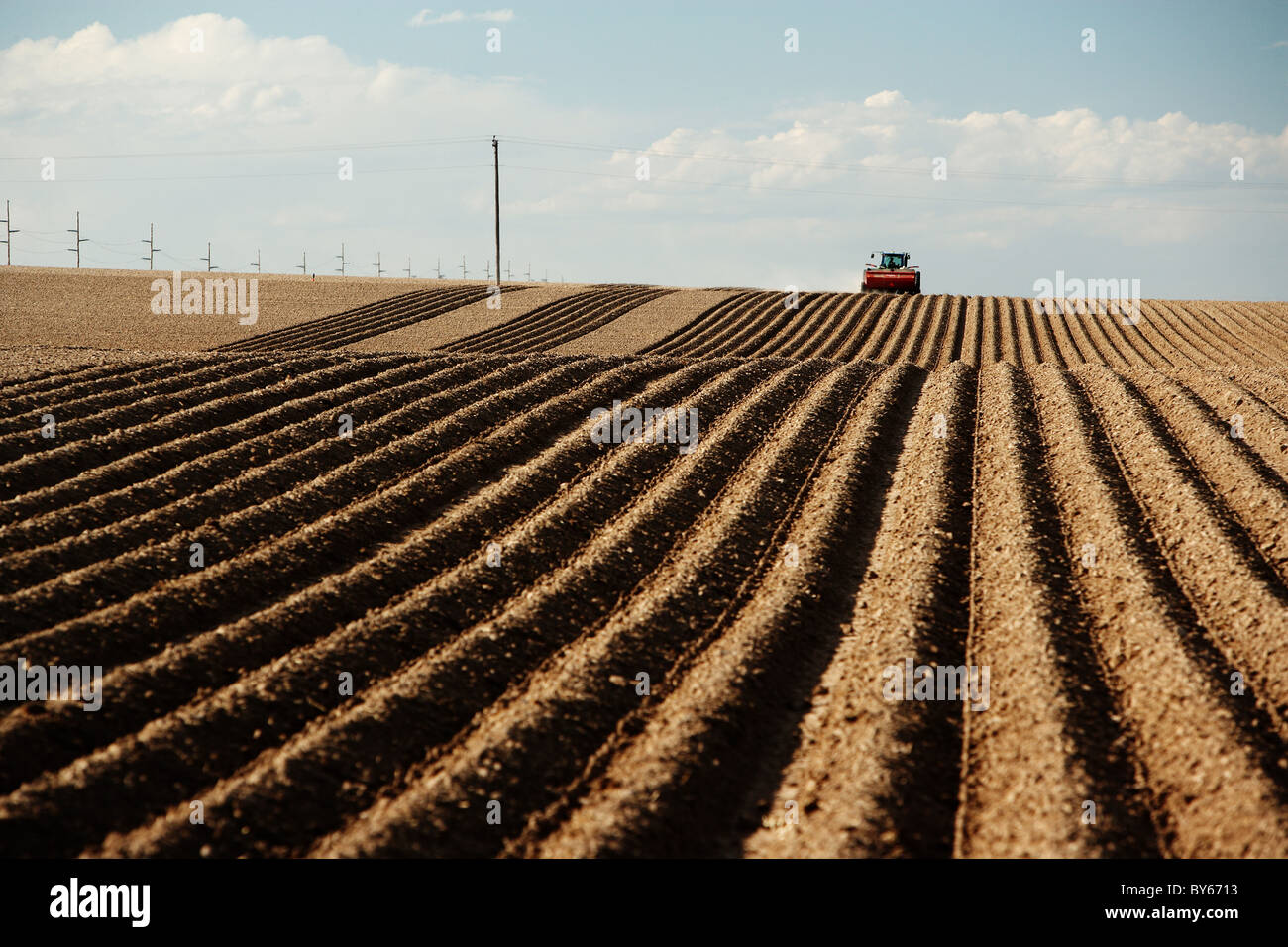 A tractor planting a farm field in the spring Stock Photo - Alamy