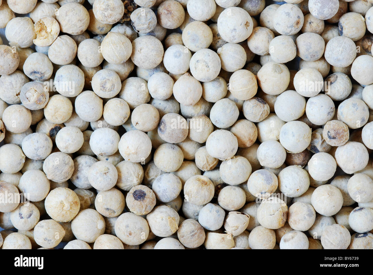 Close up view of white pepper grain background Stock Photo - Alamy