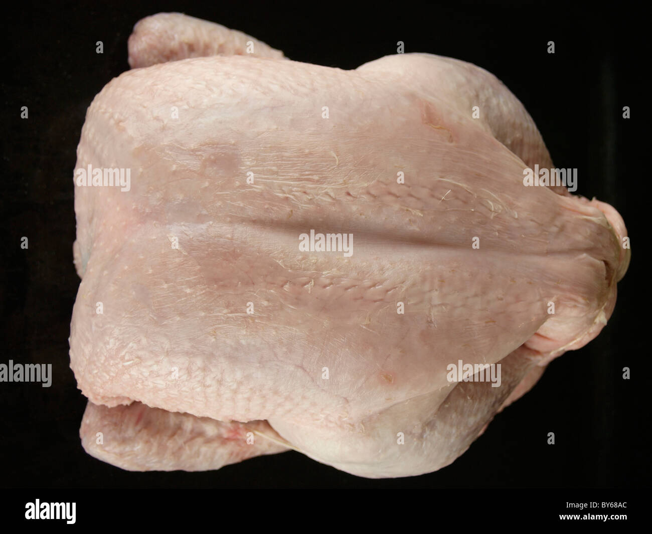 Roast chicken in tray hi-res stock photography and images - Alamy