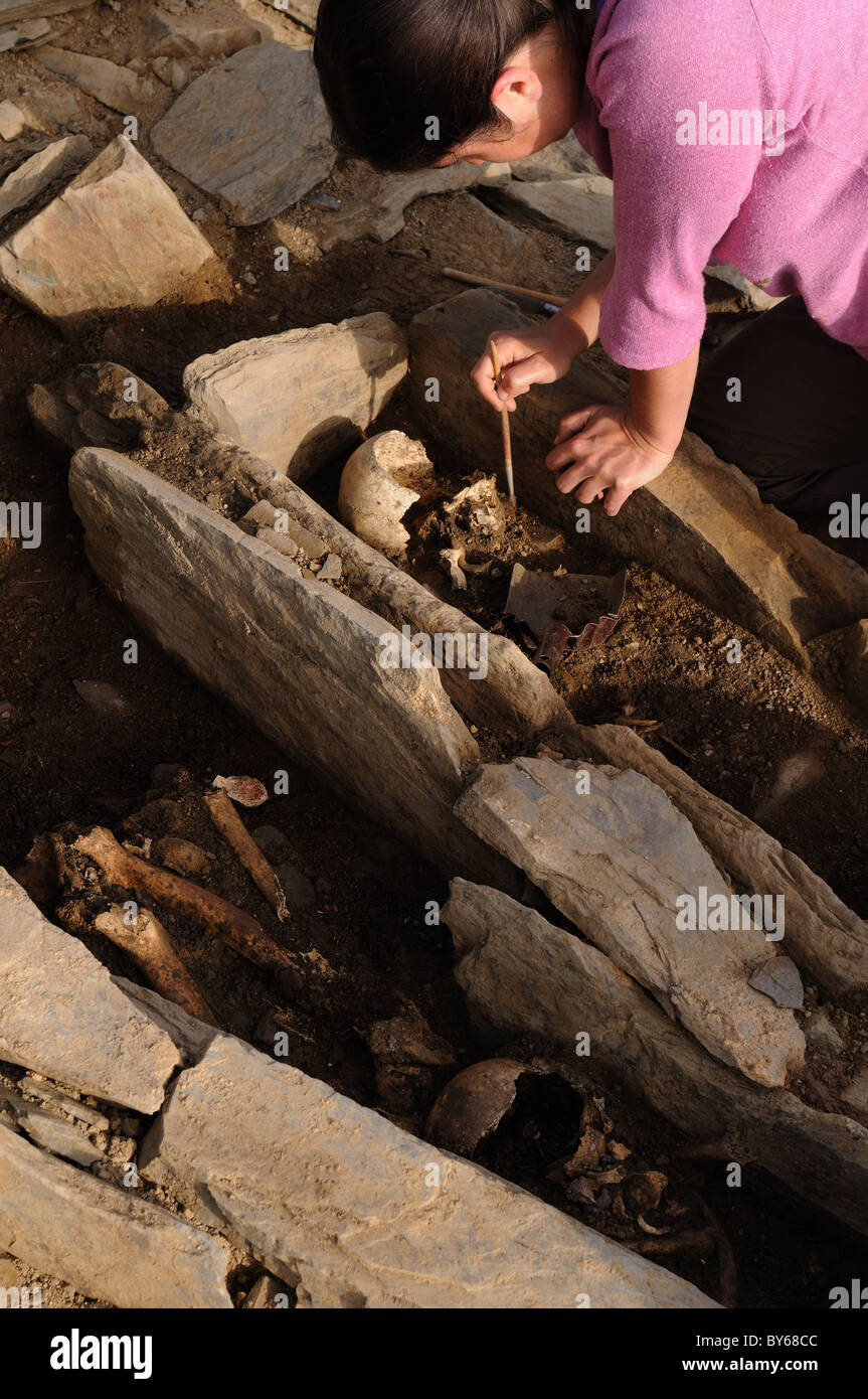 Archaeologist digging artefact hi-res stock photography and images - Alamy