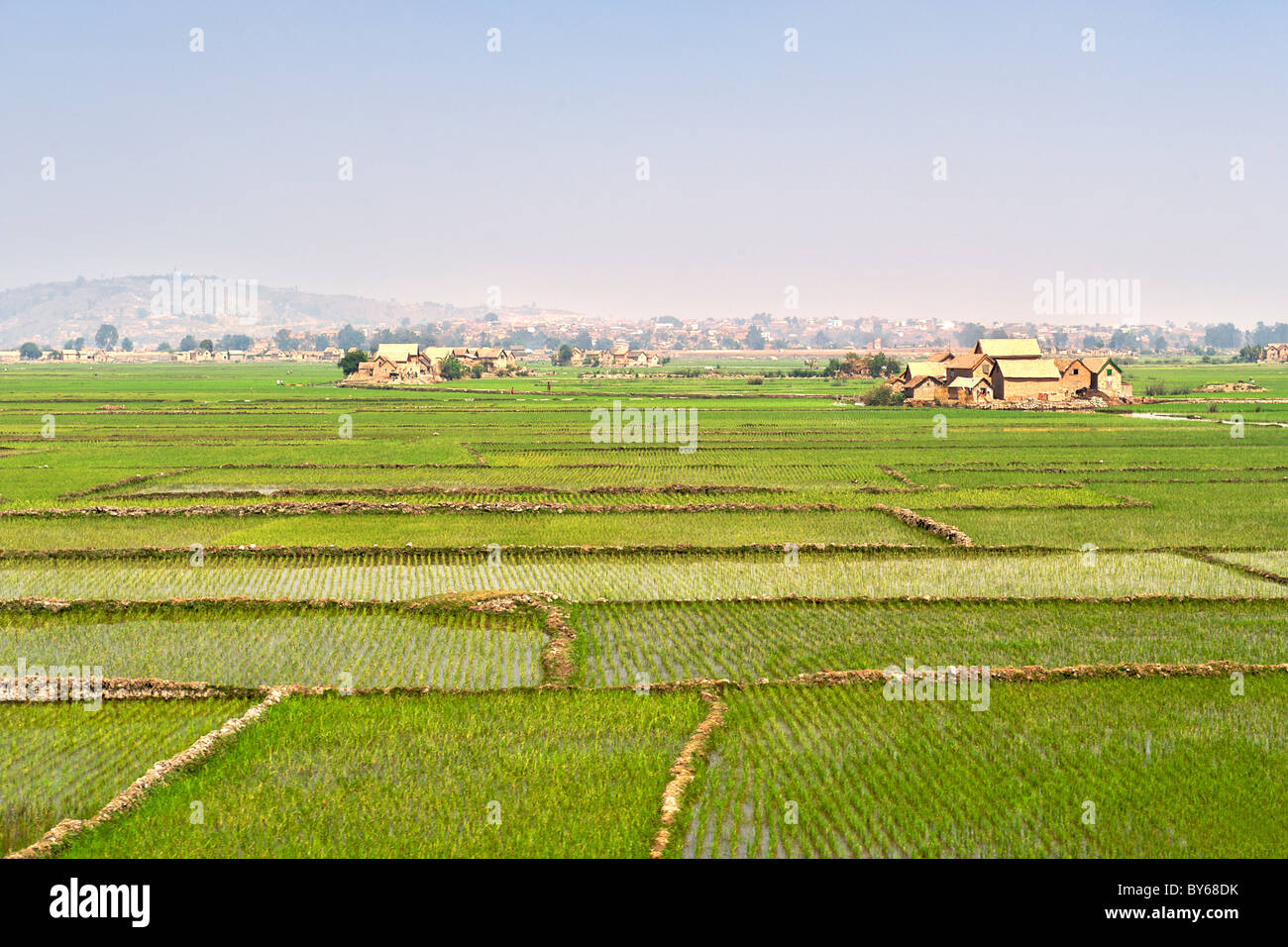 Rice paddies being cultivated on the outskirts of Antananarivo, the ...