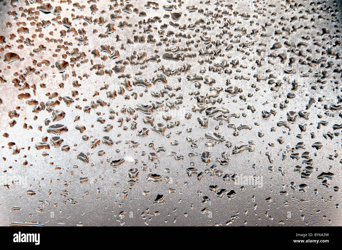Water droplets on windshield Stock Photo - Alamy