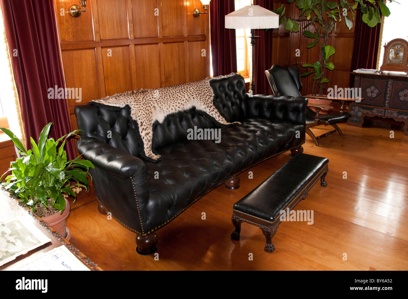 Trophy, Cheetah pelt on sofa Stock Photo - Alamy