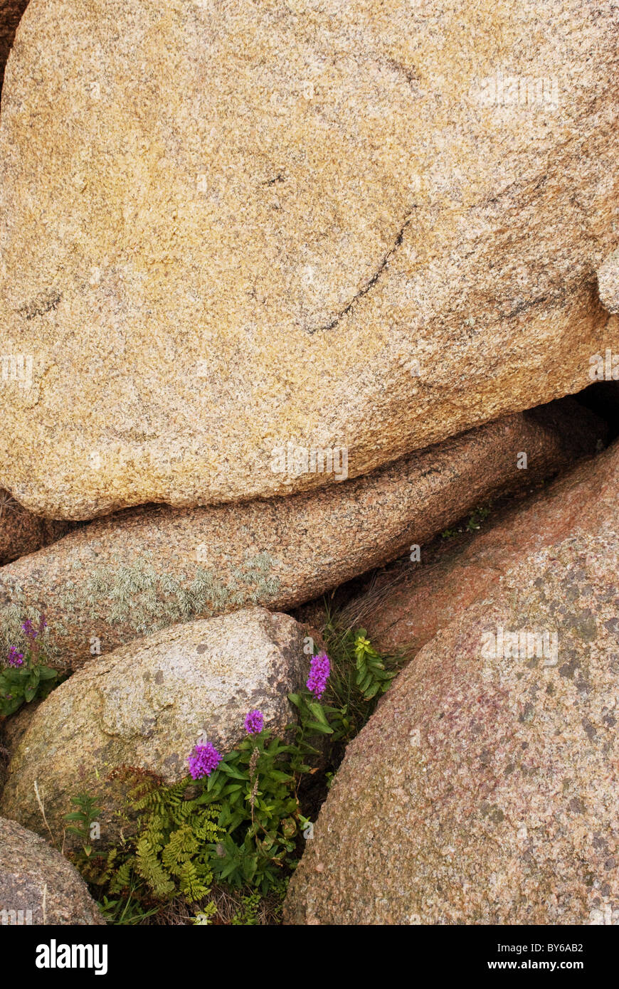 Split granite boulders hi-res stock photography and images - Alamy