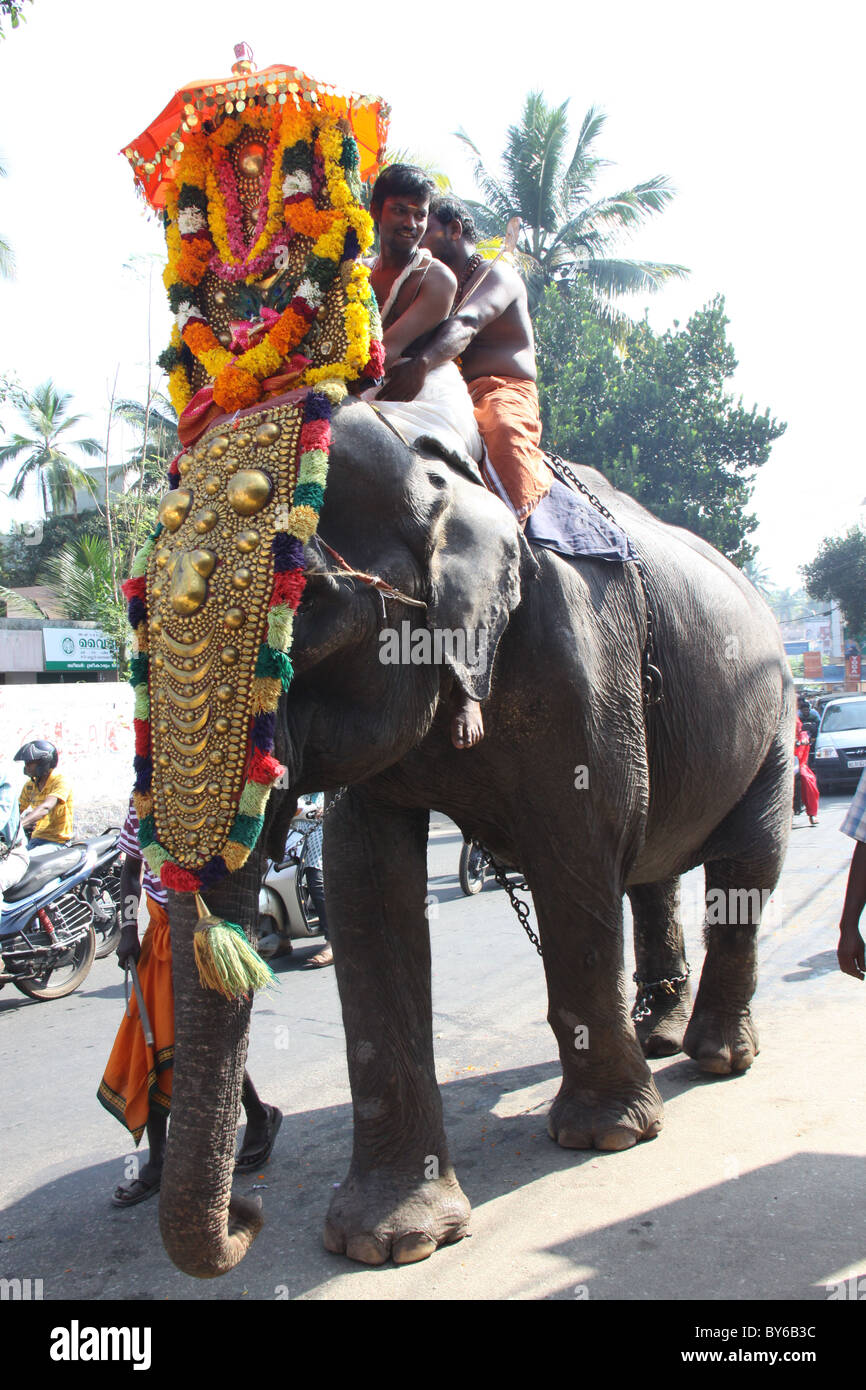 Kerala decorated elephant hi-res stock photography and images - Alamy