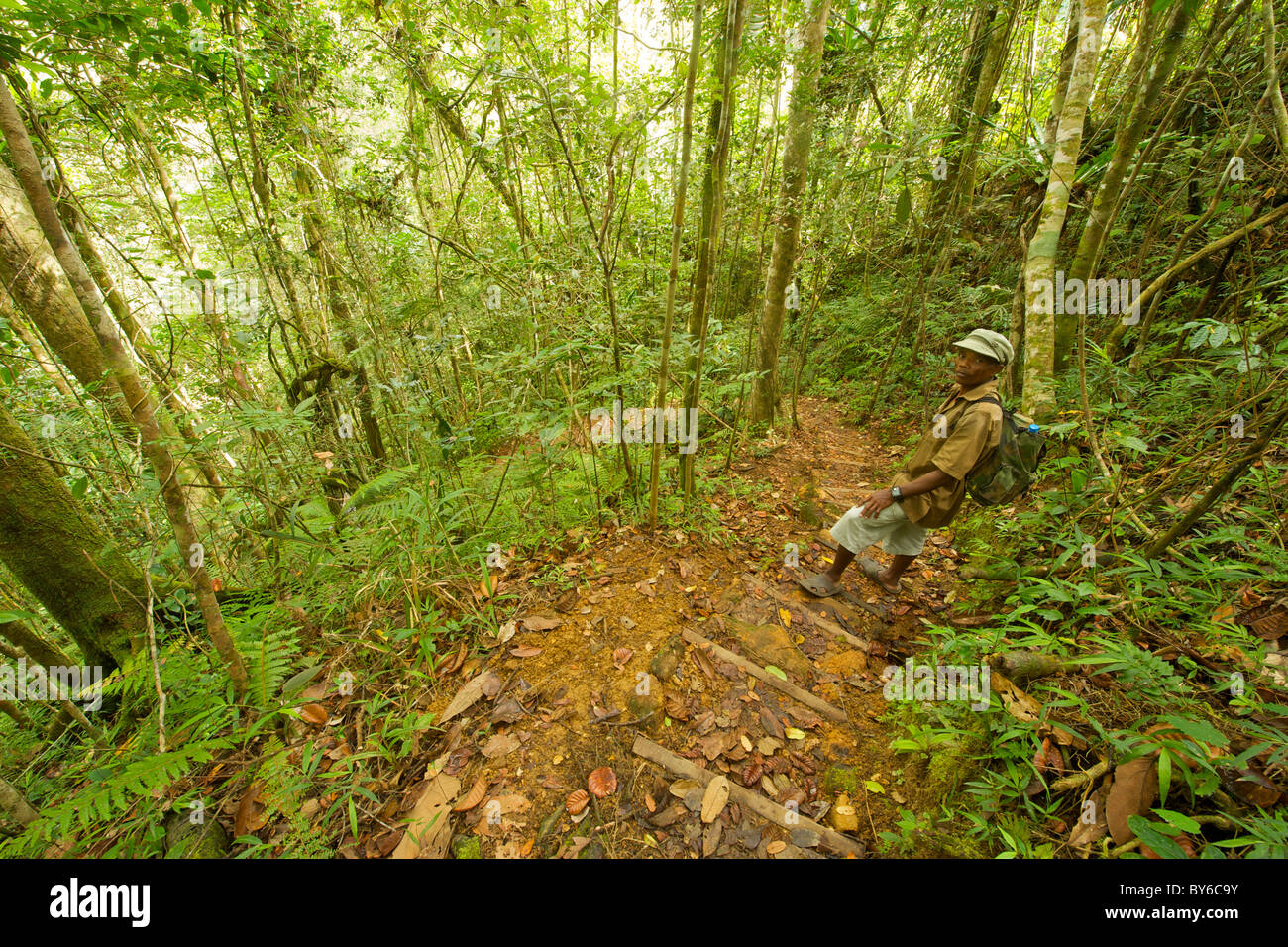 Marojejy national park hi-res stock photography and images - Alamy