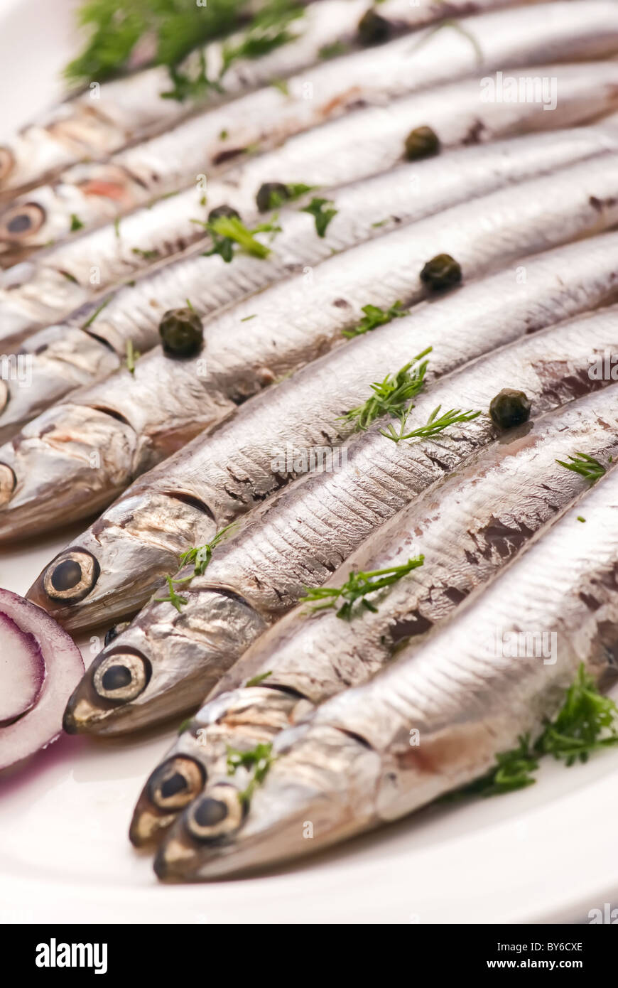 Anchovy with herbs Stock Photo - Alamy