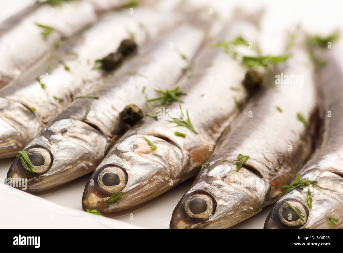 Silver anchovy hi-res stock photography and images - Alamy