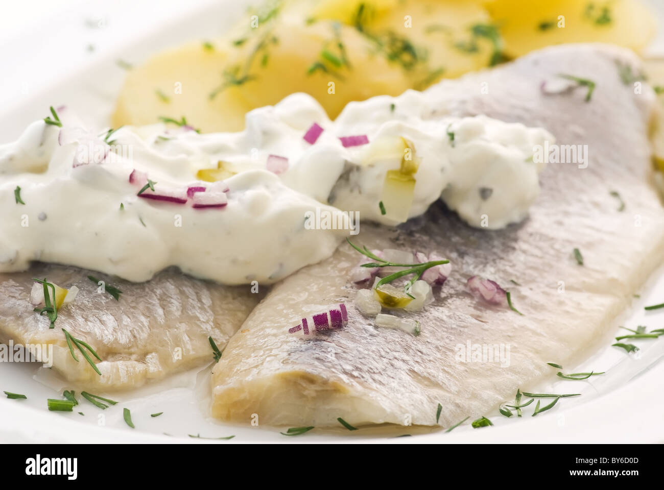 Herring with Sauce Stock Photo - Alamy