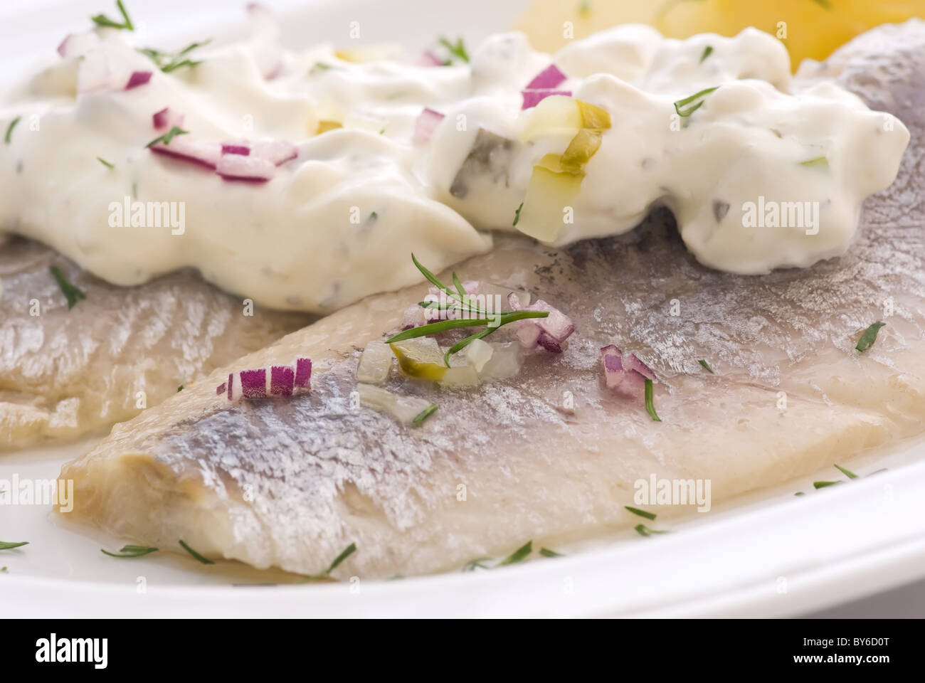 Herring with Sauce Stock Photo - Alamy