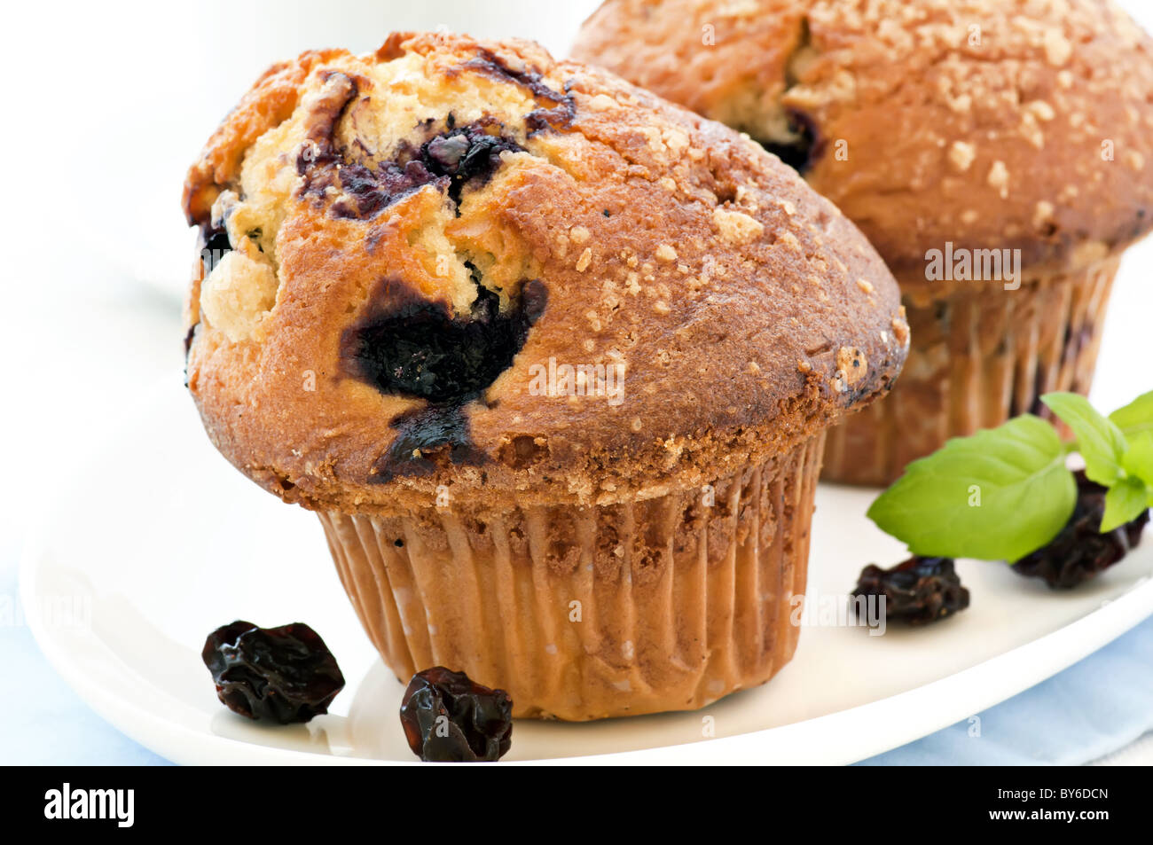 Blueberry muffin as closeup on white background Stock Photo - Alamy