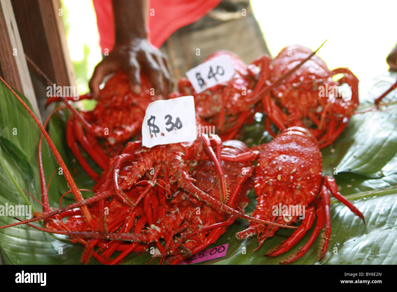 Crayfish for sale Stock Photo - Alamy